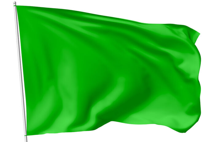 Green Flags of Leadership – Benton + Bradford Consulting